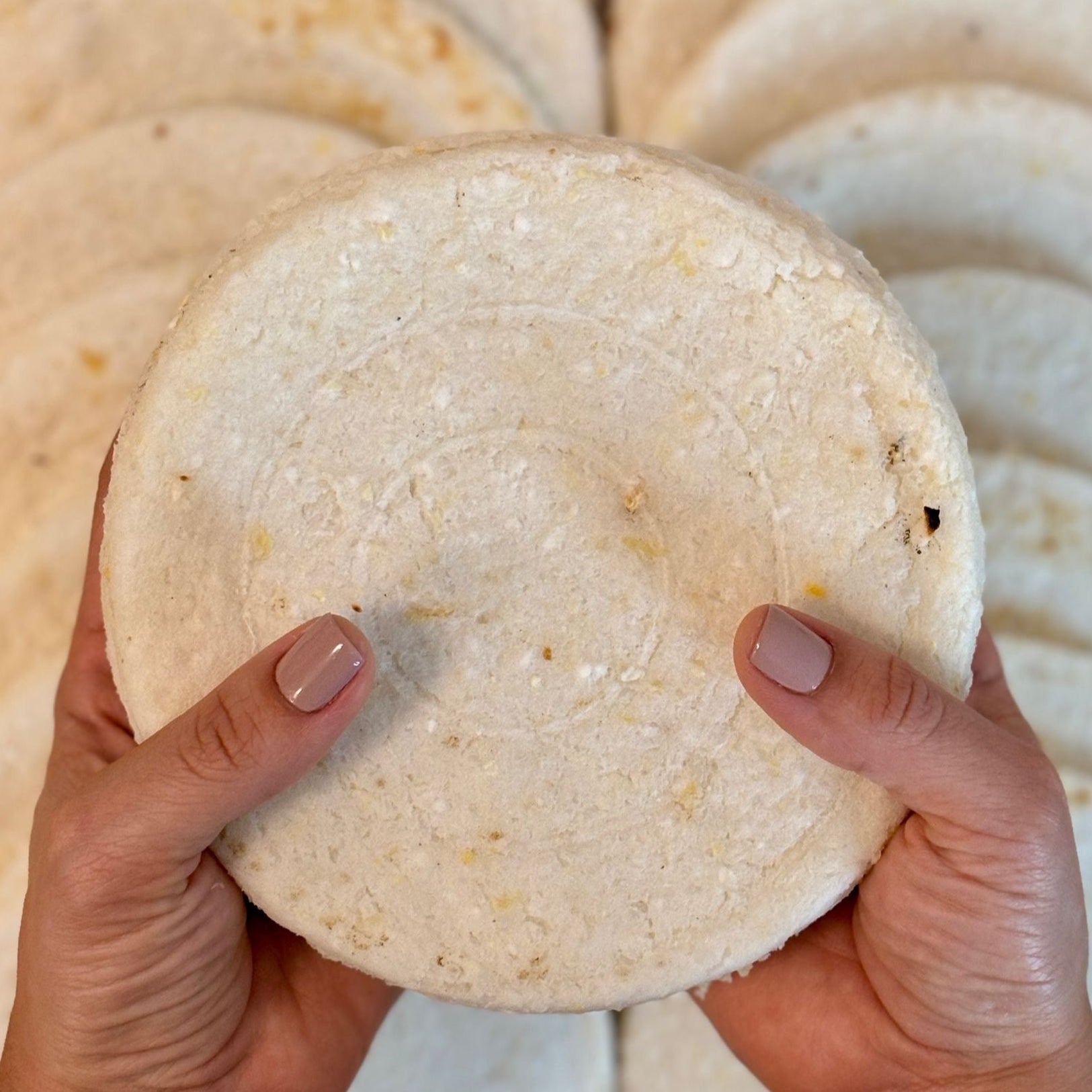 Arepas de maíz 100% tipo tela (paquete x8) – Tradición